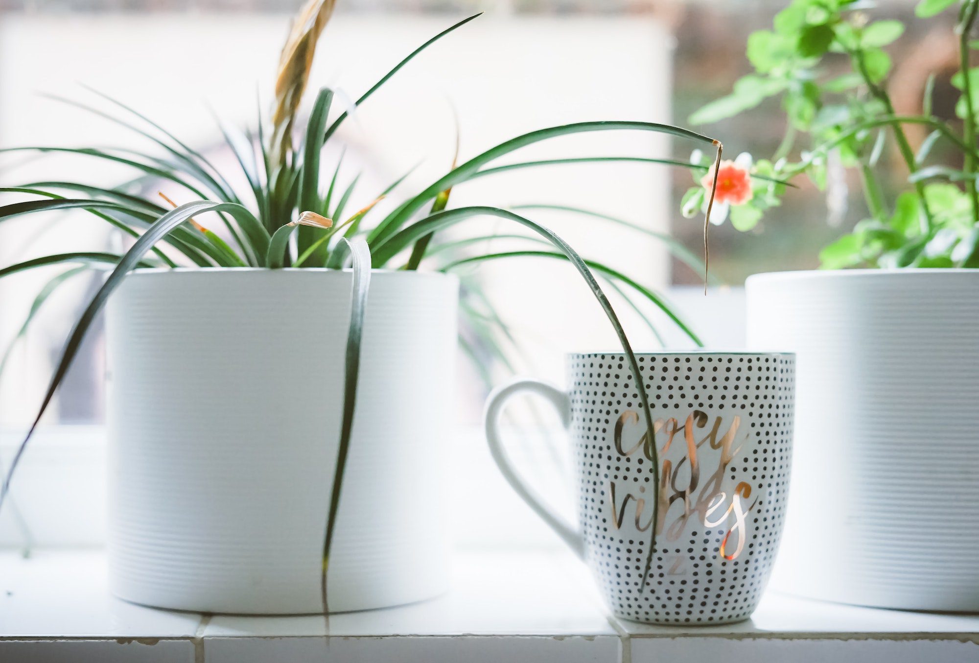 5 simple ways to create a relaxing home - The Happily Productive